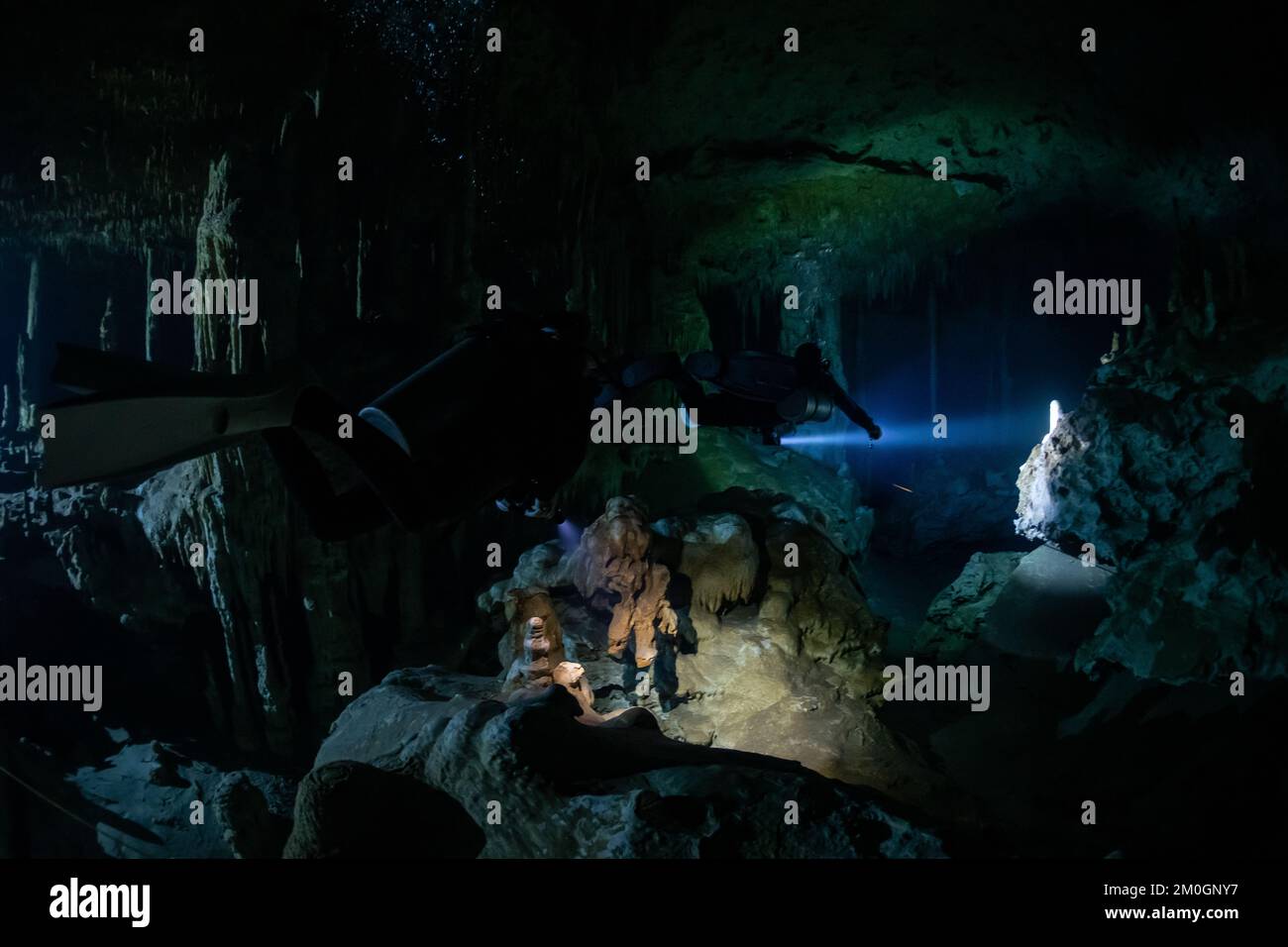 cave diver instructor leading a group of divers in a mexican cenote ...