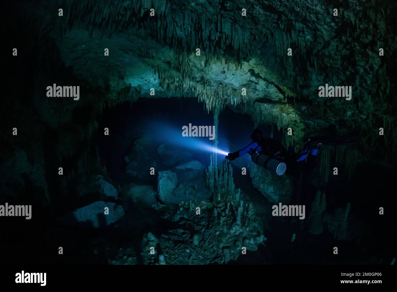 cave diver instructor leading a group of divers in a mexican cenote ...