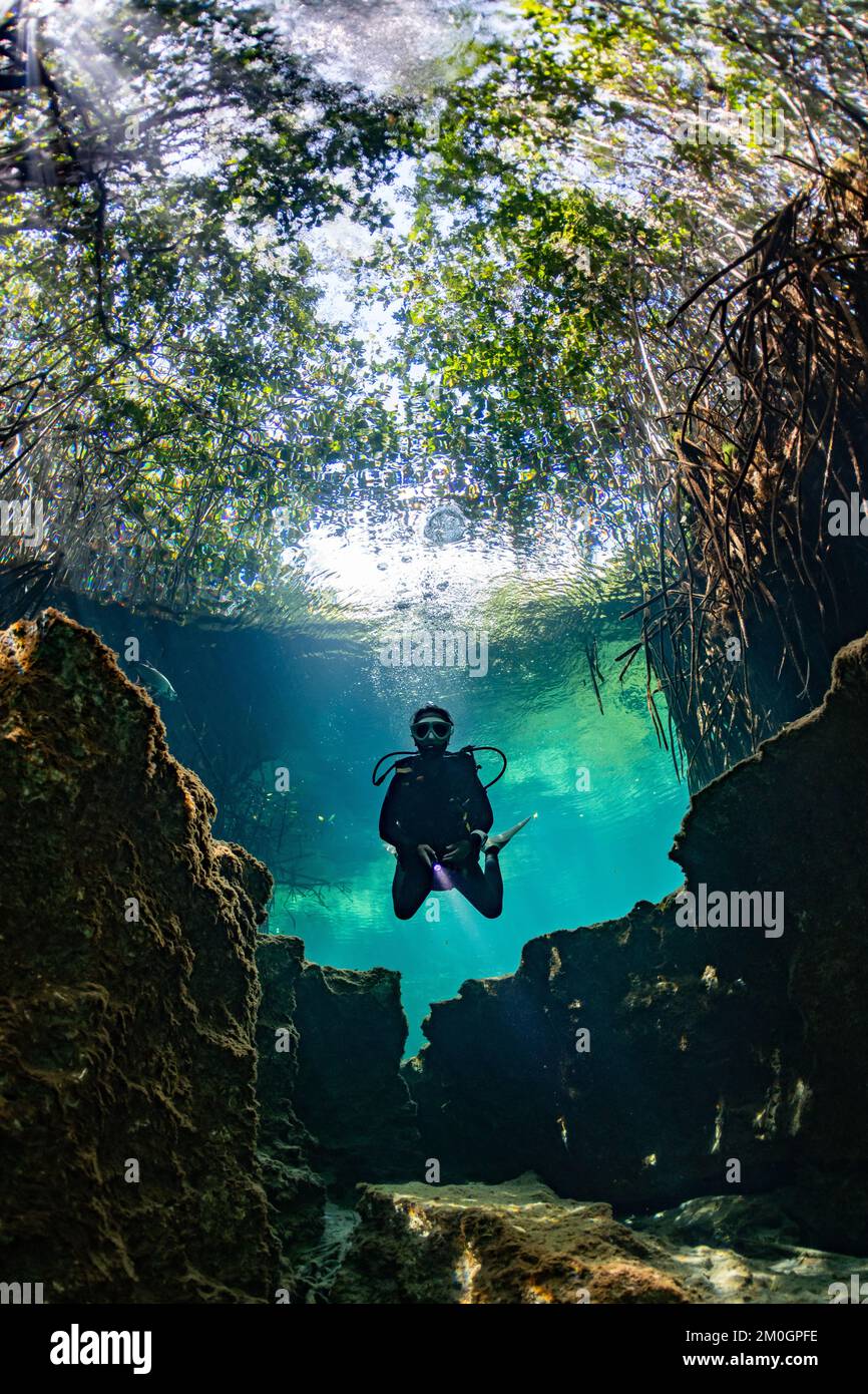 Tulum and cave diver and cenote hi-res stock photography and images - Alamy