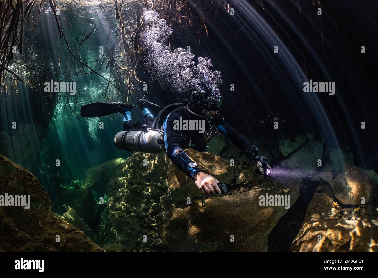 cave diver instructor leading a group of divers in a mexican cenote ...