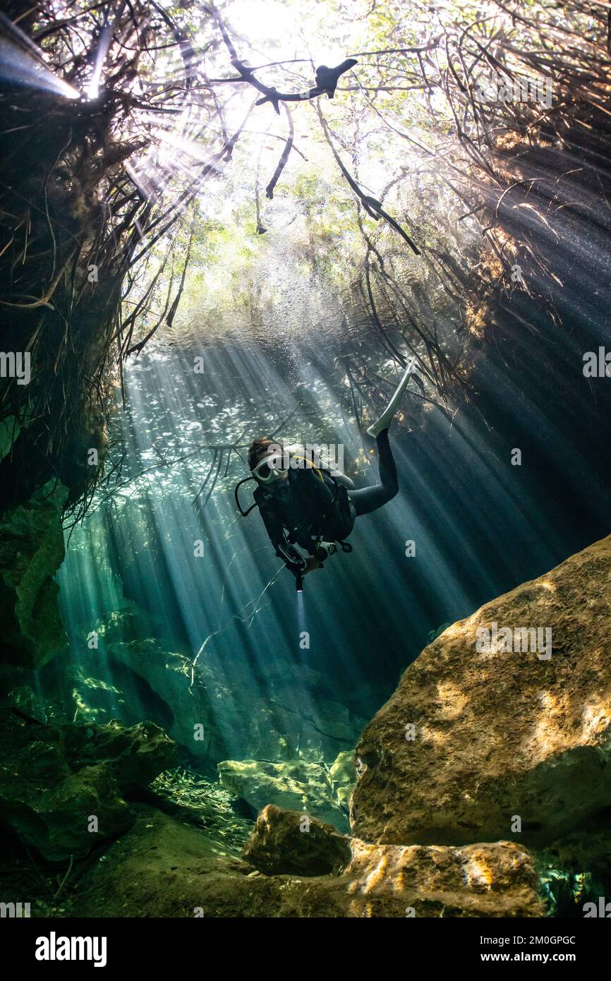 cave diver instructor leading a group of divers in a mexican cenote ...