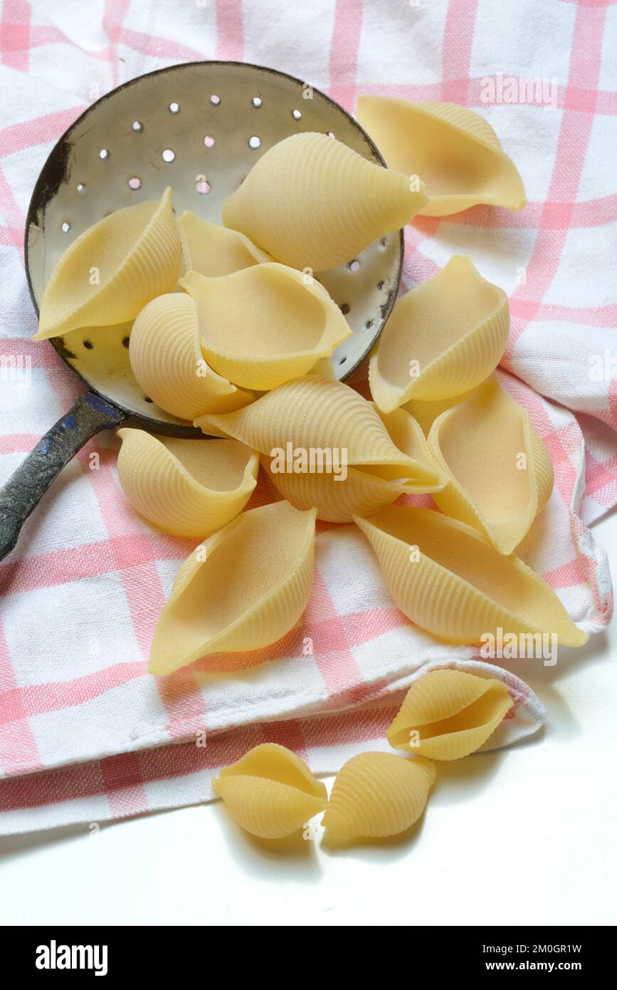 Conchiglione and small conchiglie with sieve ladle, shell pasta, pasta ...