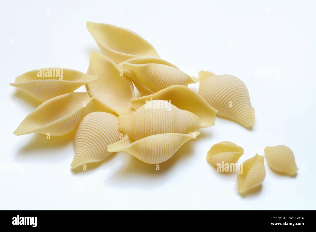Conchiglione and small conchiglie, shell pasta, pasta Stock Photo - Alamy