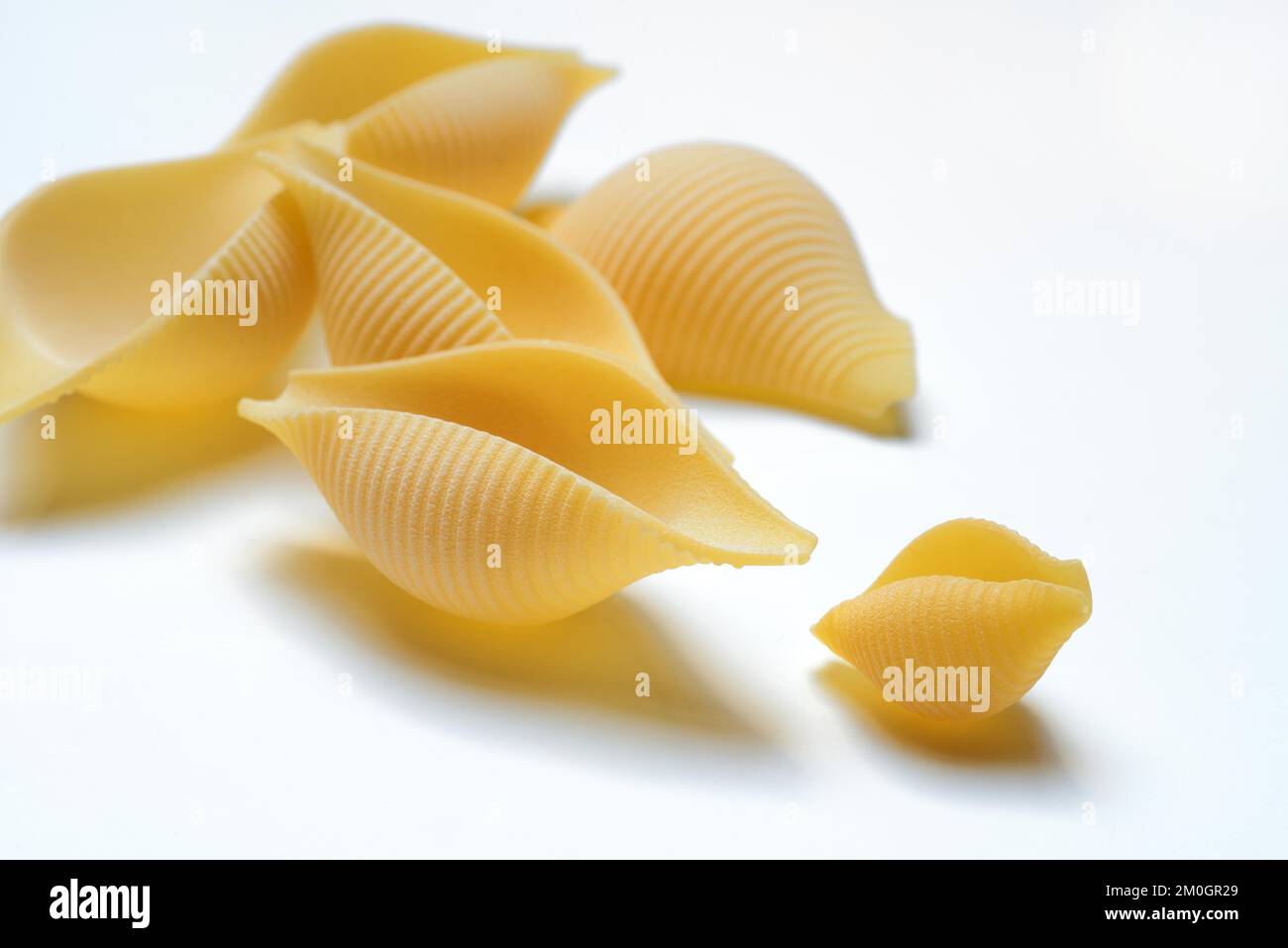 Conchiglione and small conchiglie, shell pasta, pasta Stock Photo - Alamy