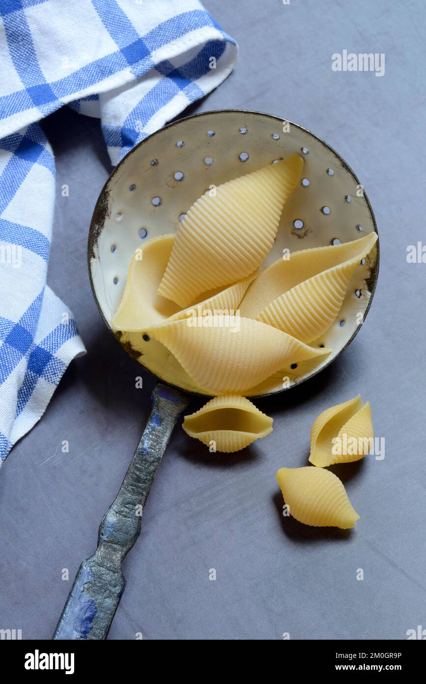 Conchiglione and small conchiglie with sieve ladle, shell pasta, pasta ...