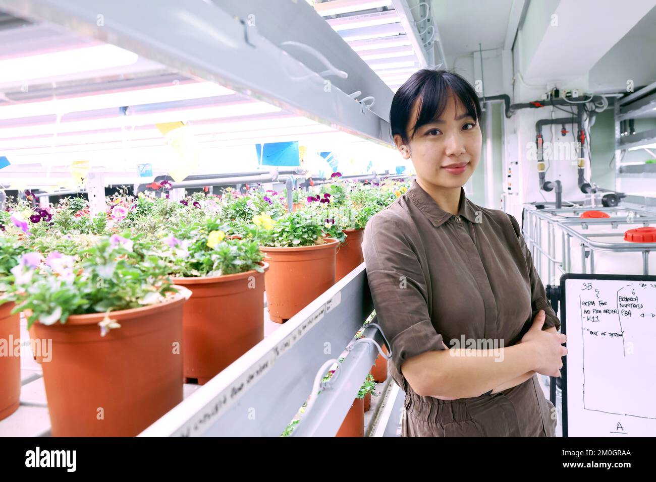 Interview of Jessica Fong, founder of Common Farms at Yau Tong. 23NOV22 ...