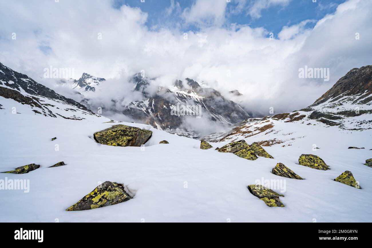 Rocks covered with yellow lichen in the snow, cloudy mountains, ski ...