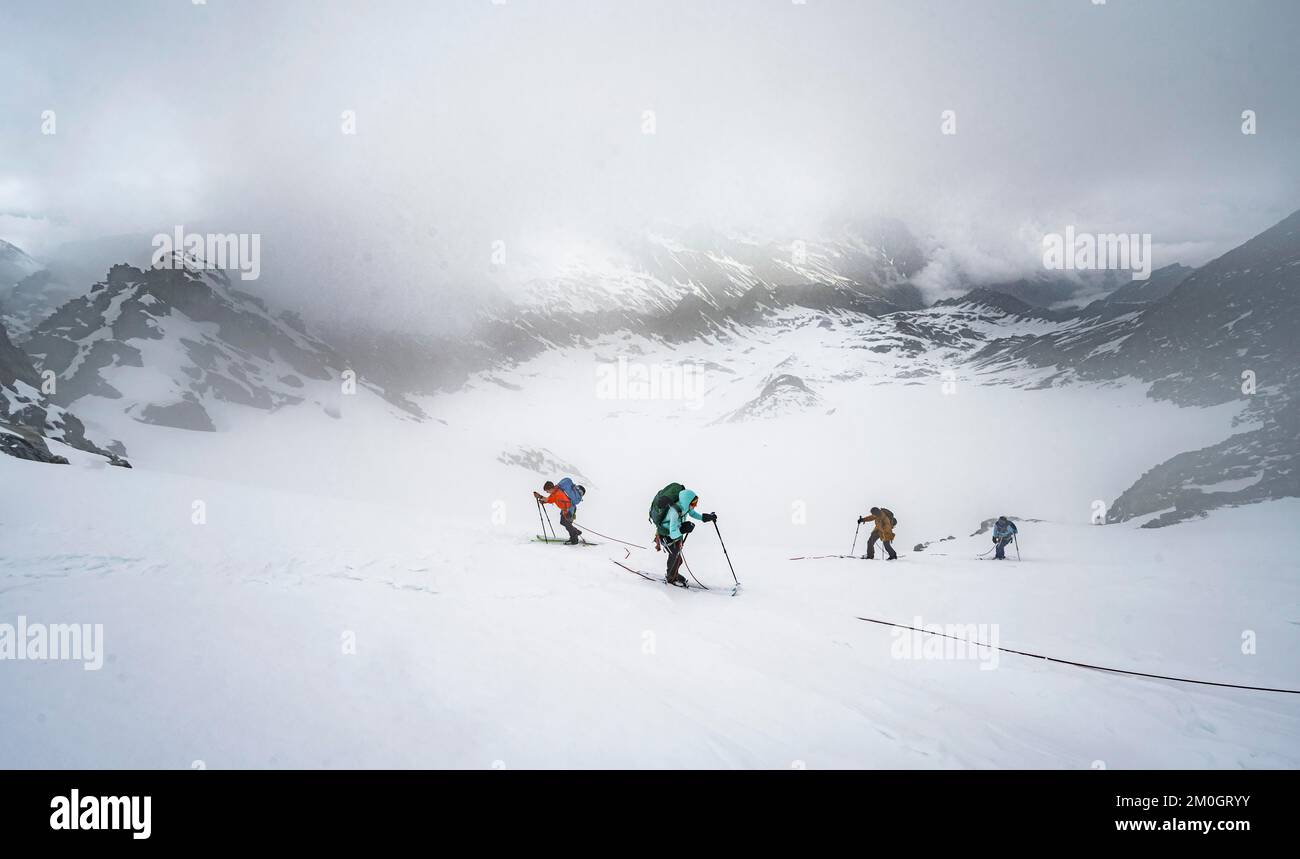 Ski tourers ascending the rope, ascent to the Obere Kräulscharte ...