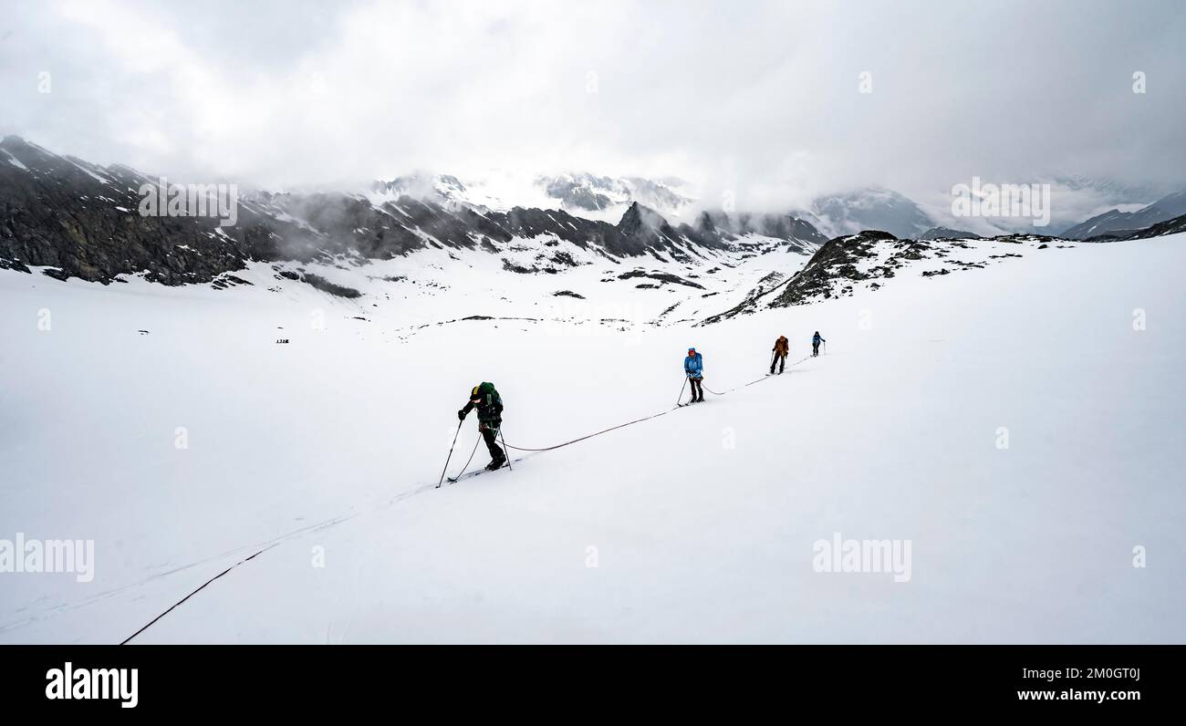 Ski tourers ascending the rope, ascent to the Obere Kräulscharte ...