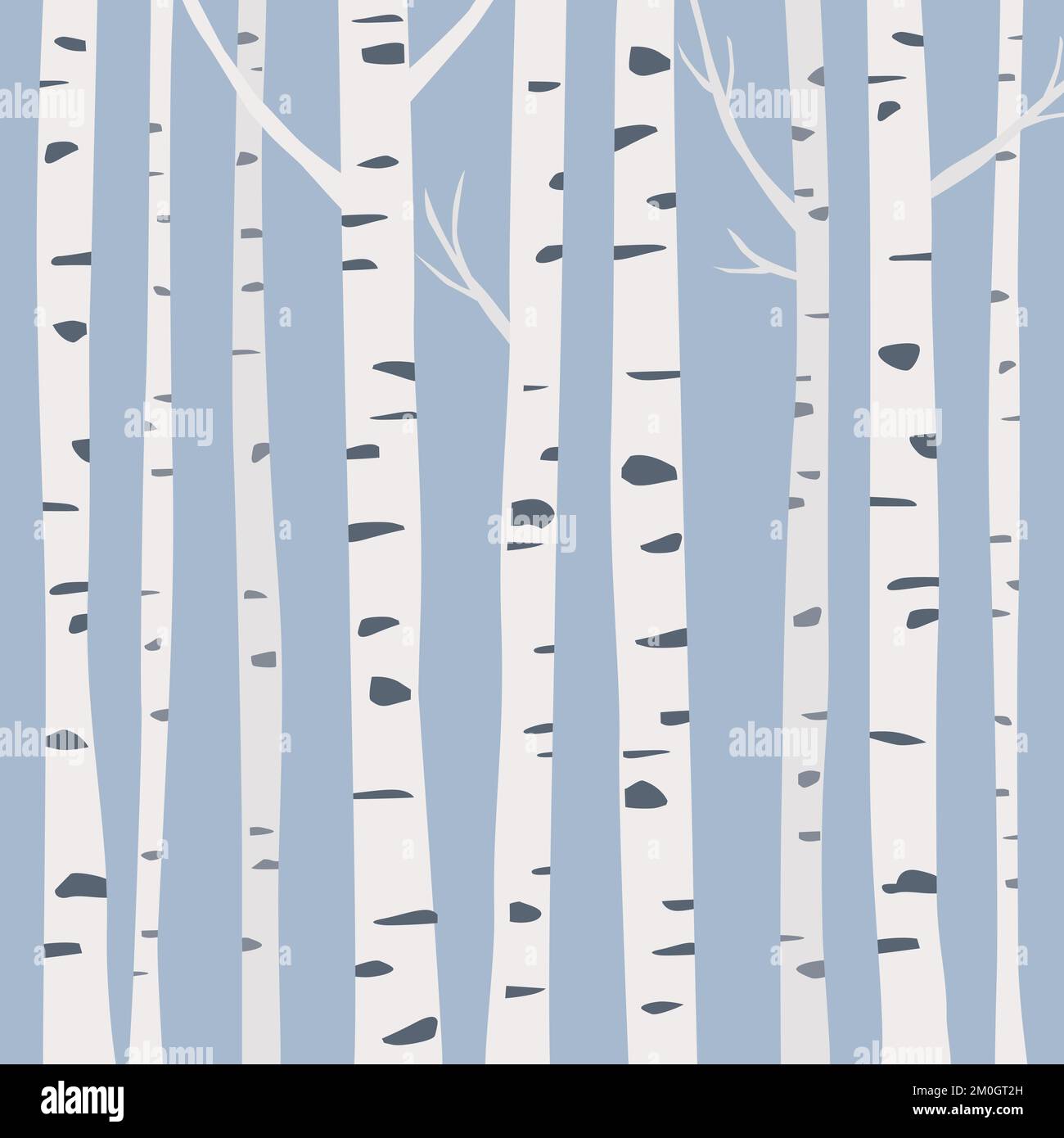 Birch tree trunks square vector illustration Stock Vector Image & Art ...