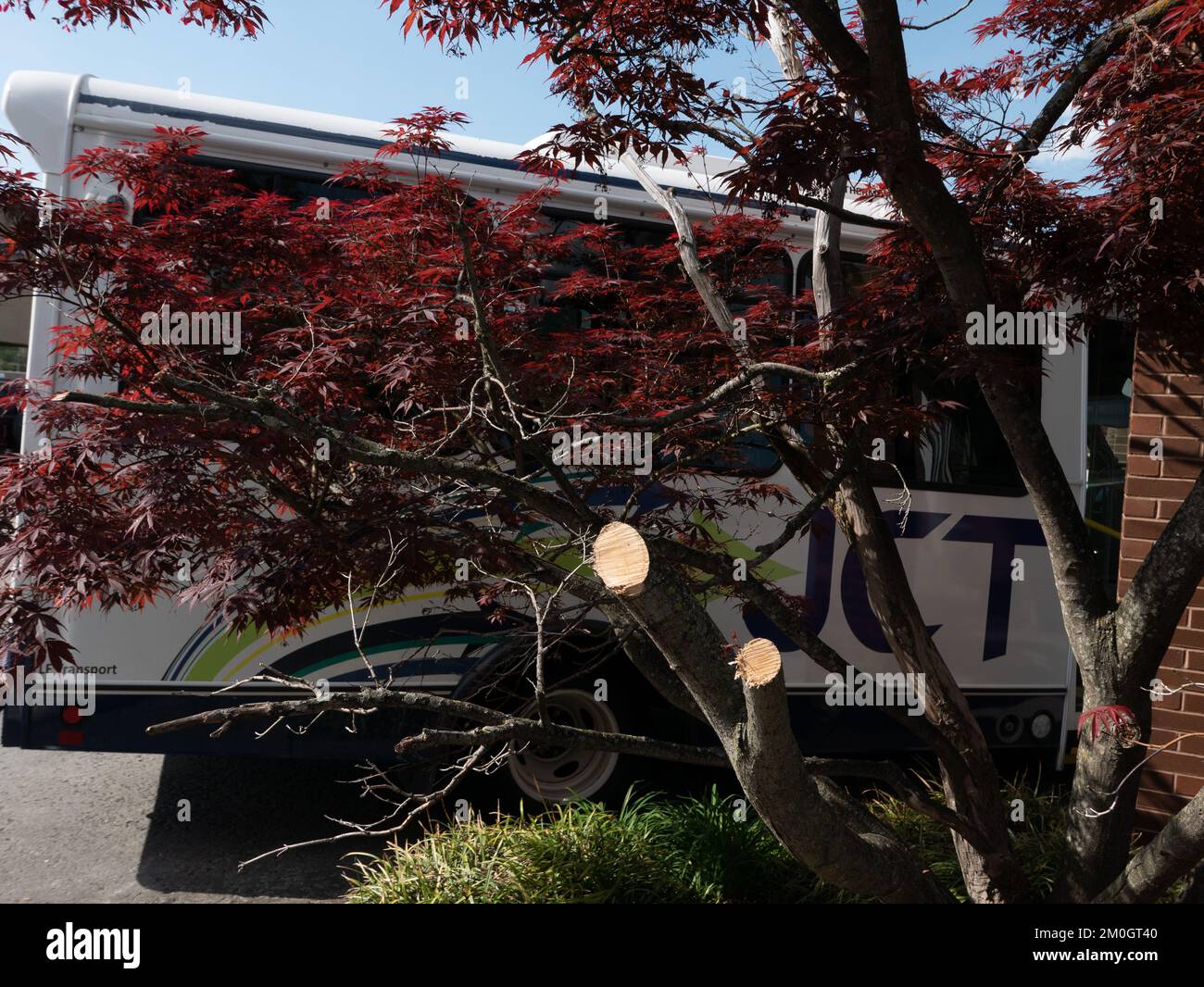 Johnson City, Tennessee, United States 2022-04-23 Bus terminal Stock ...