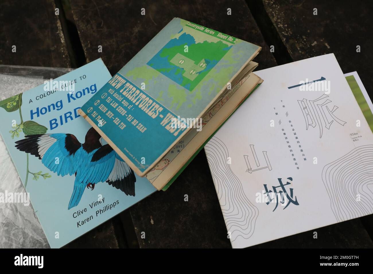 Books and maps hikers Herman Mok Chi-kit and Matthew Au Yee-chun ...
