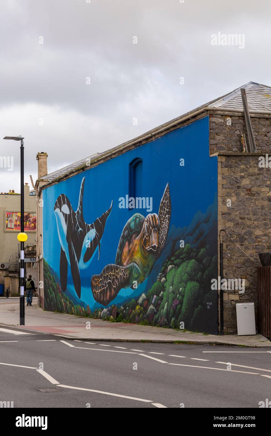 Turtle mural hi-res stock photography and images - Alamy