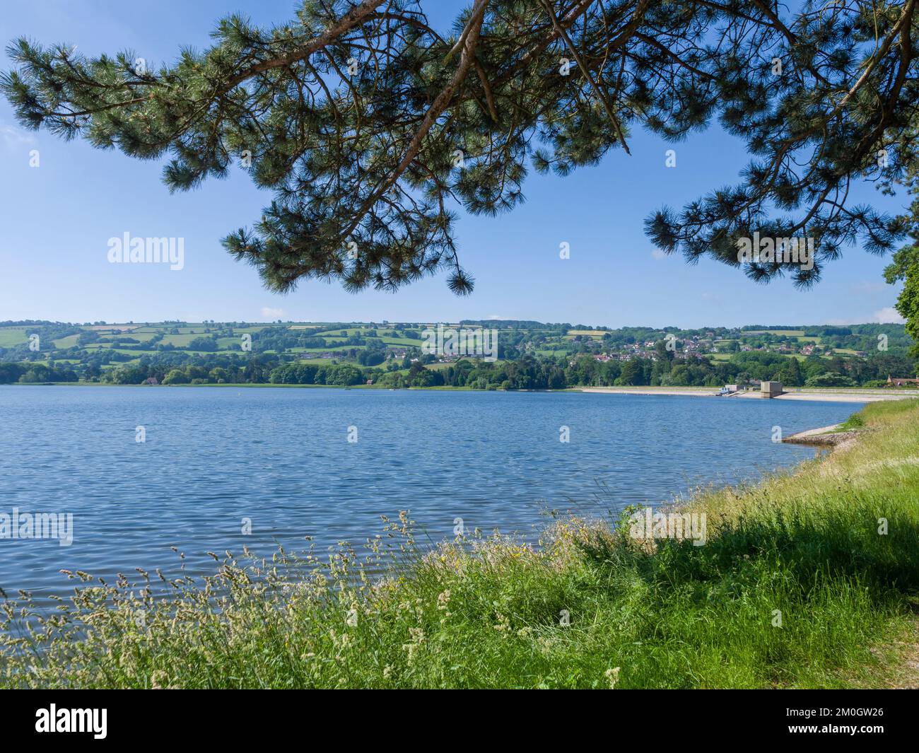 The northern shore of Blagdon Lake with the Mendip Hills beyond, North ...