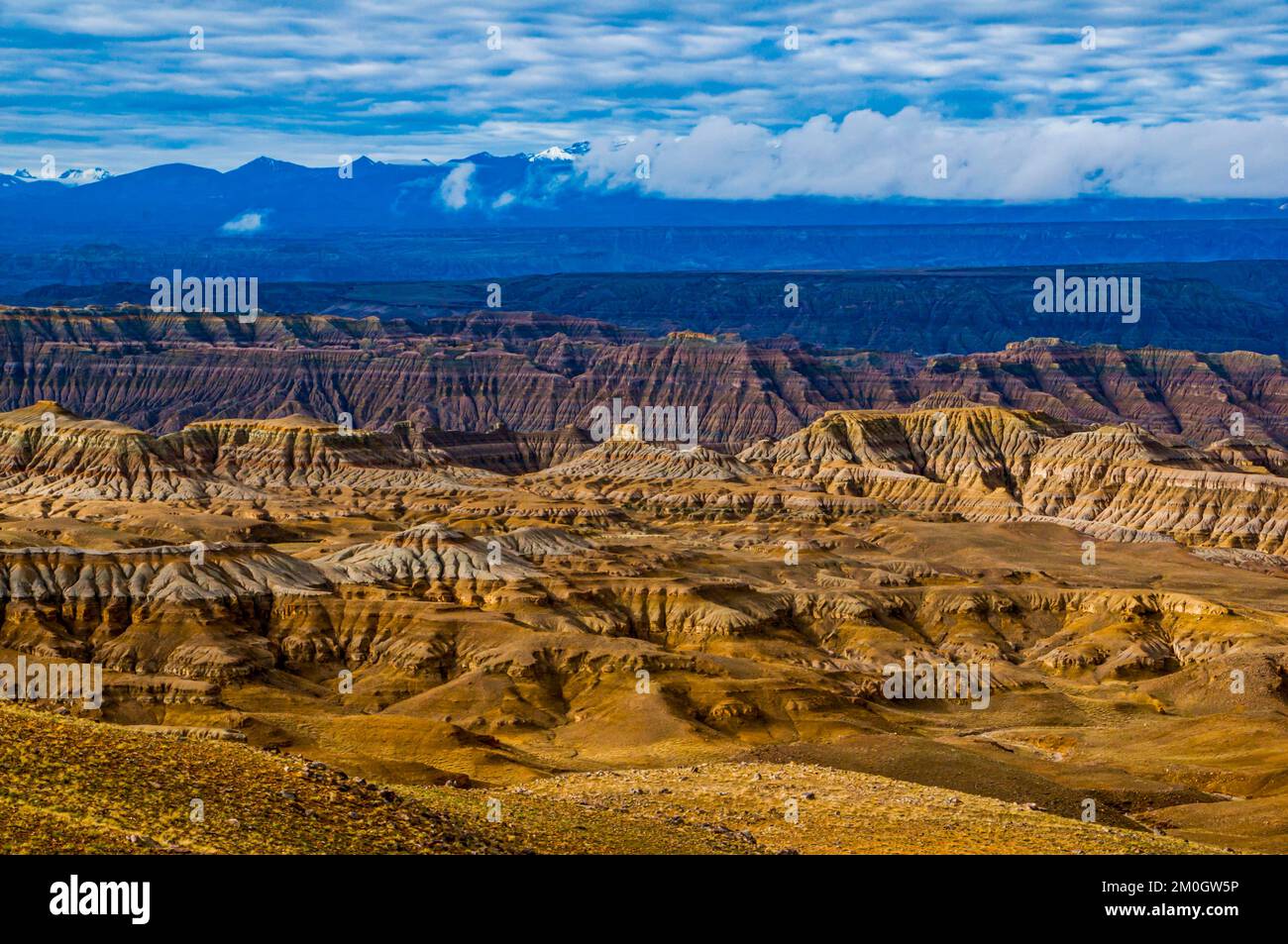 Eroded mud landscape in the kingdom of Guge, Western Tibet, Asia Stock ...