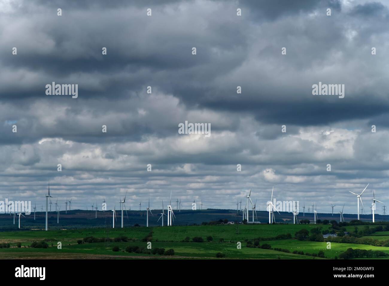 Wind powered turbines at Whitelee Wind Farm, the UK’s largest onshore ...