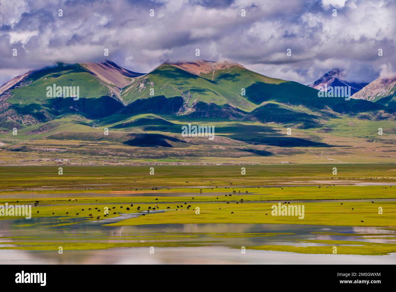 The open wide landscape of Tibet along the Tibetan railway in Tibet ...