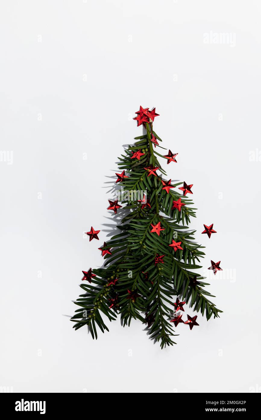 Christmas tree made of an evergreen tree branch and red stars on white ...