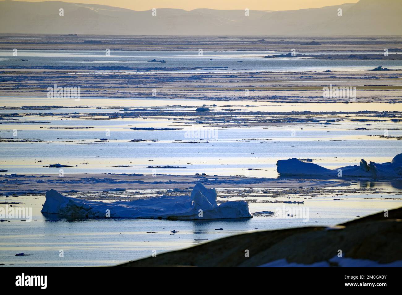 Bay with icebergs and drift ice in the evening light, Disko Bay ...