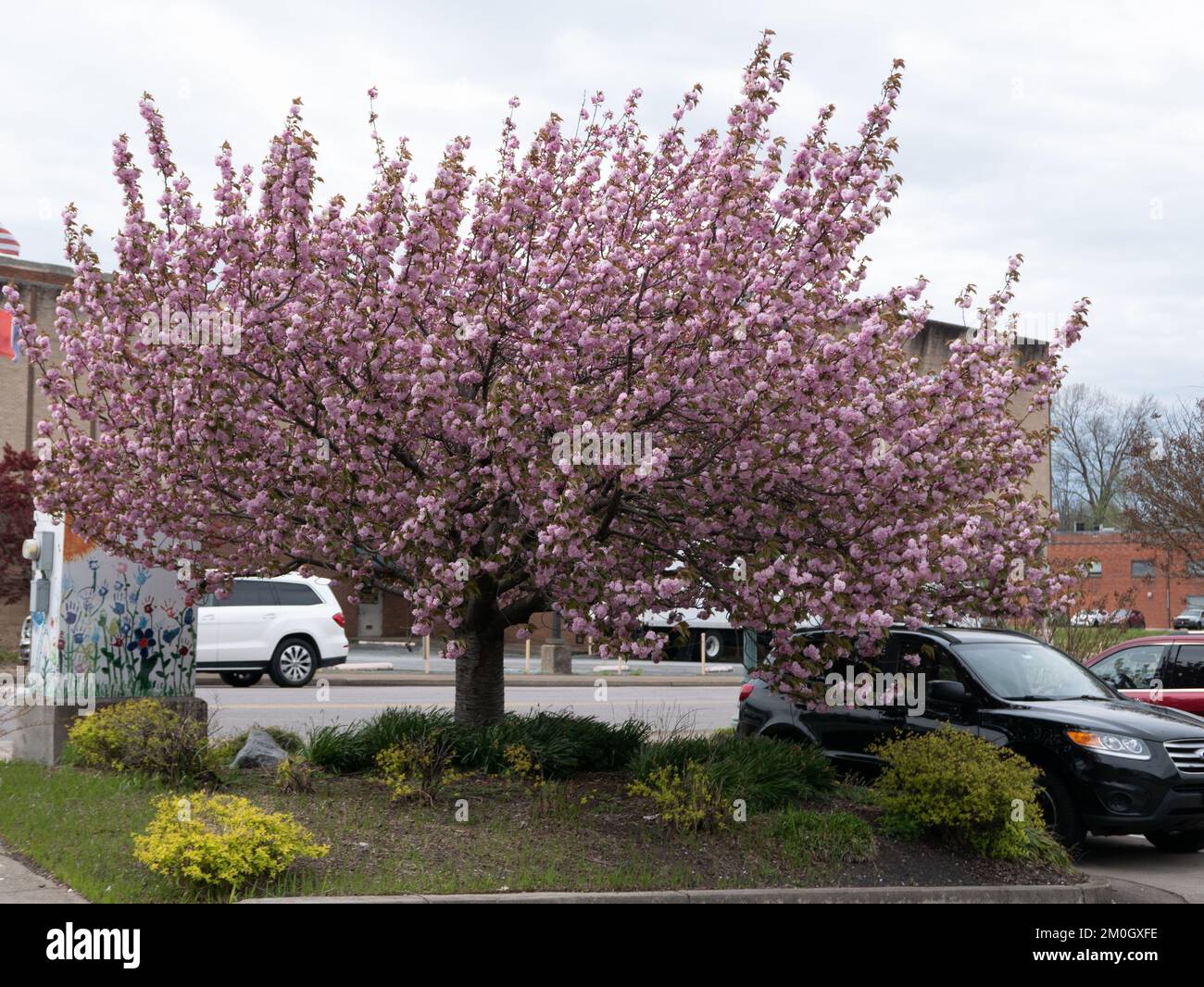Bus terminal united states hi-res stock photography and images - Alamy