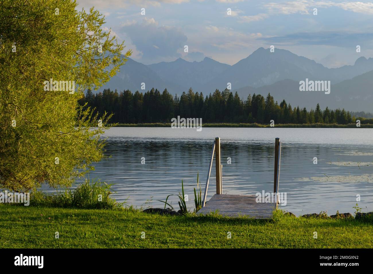 Bathing jetty at the Hopfensee, Hopfen am See, Allgäu Alps, Allgäu ...