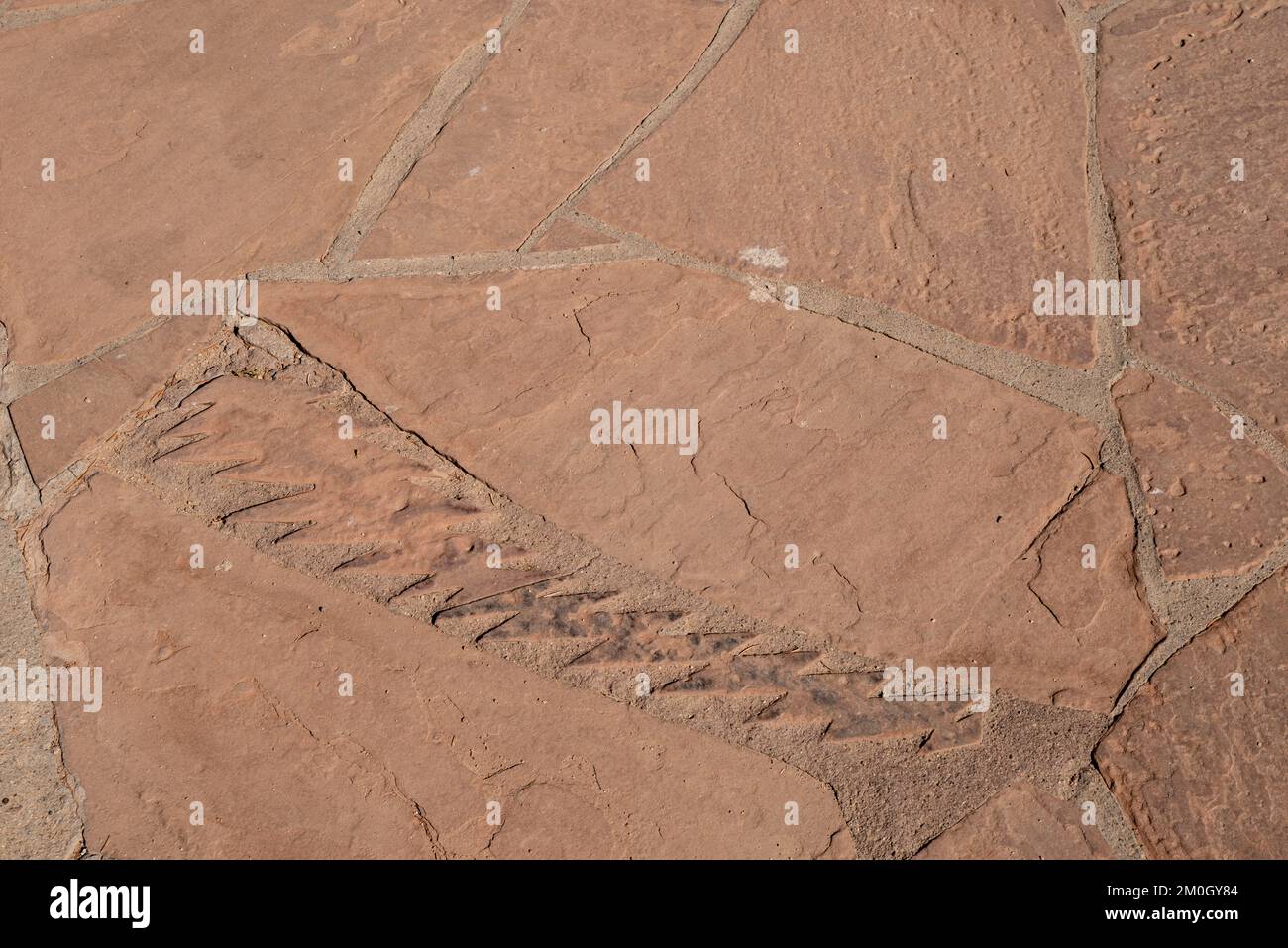A lightning bolt in the courtyard's flagstone. The San Francisco de ...