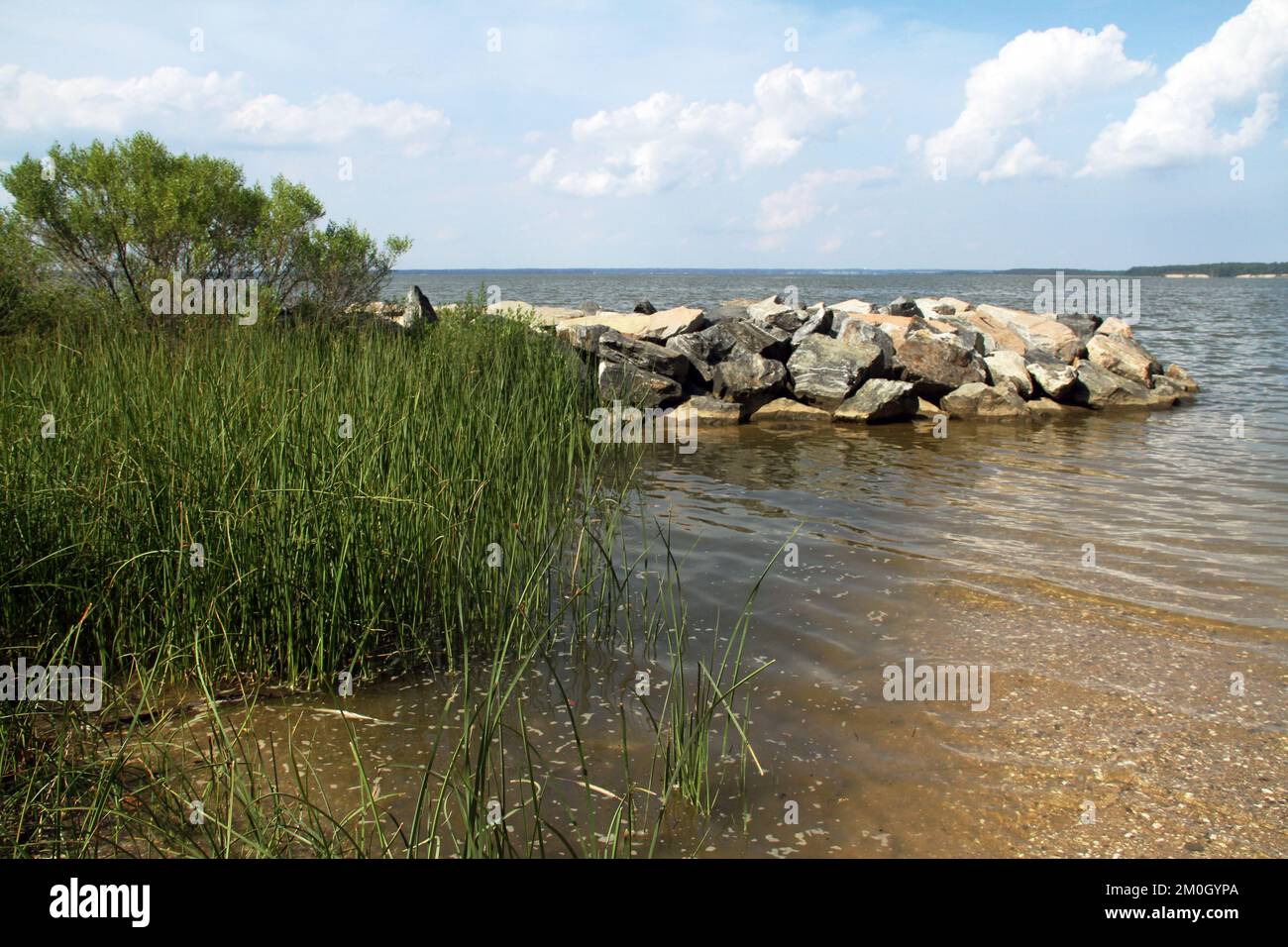 The shore of James River at Chippokes Plantation State Park, VA, USA Stock Photo - Alamy