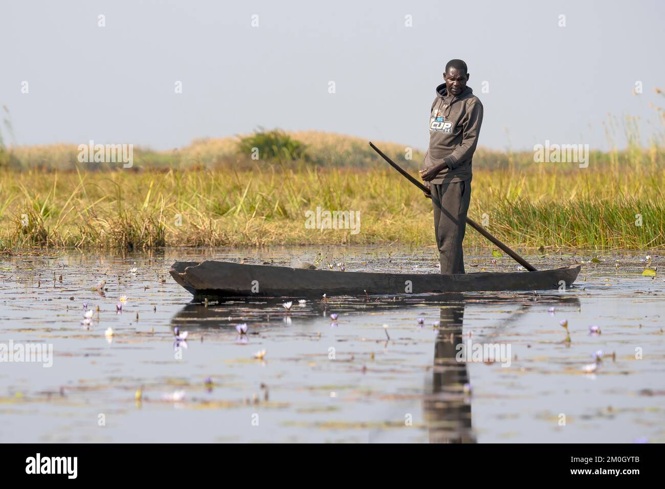 Fisherman in a dugout canoe, Bangweulu Swamps, Zambia, Africa Stock ...