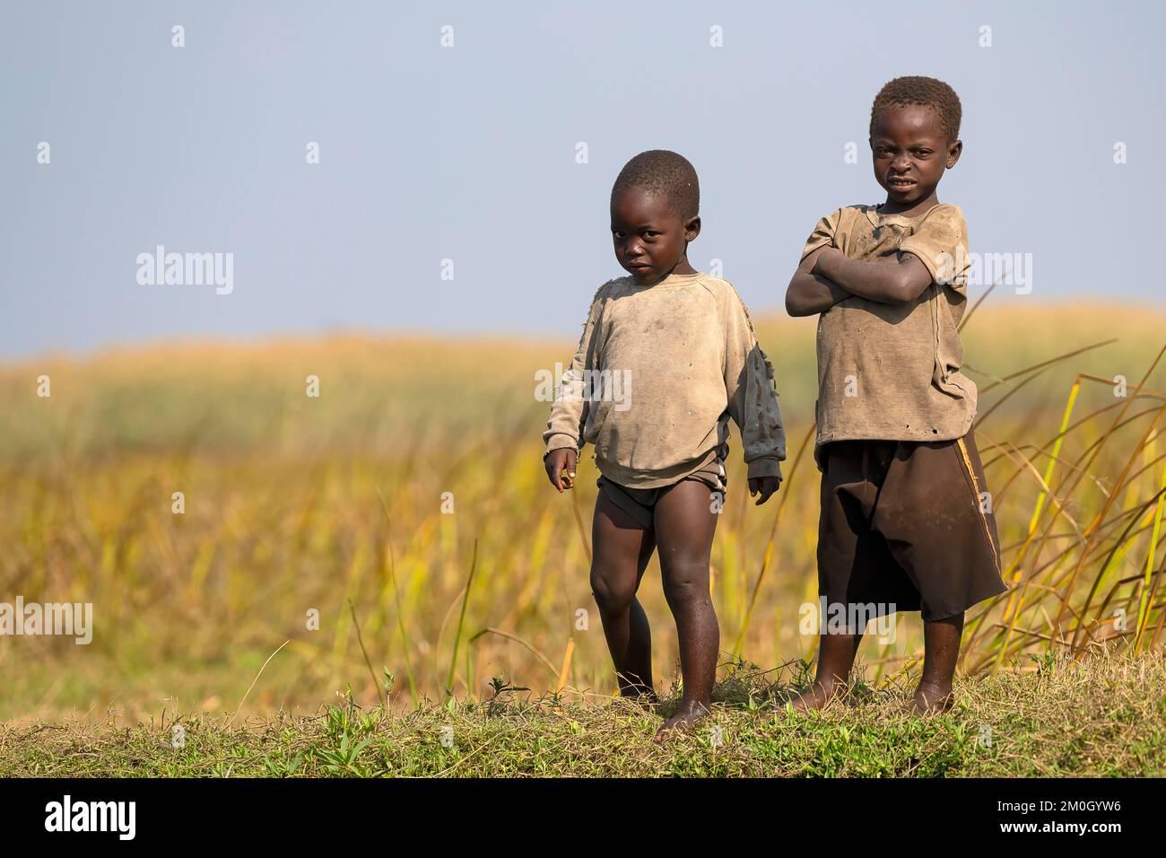 Indecisive child hi-res stock photography and images - Alamy