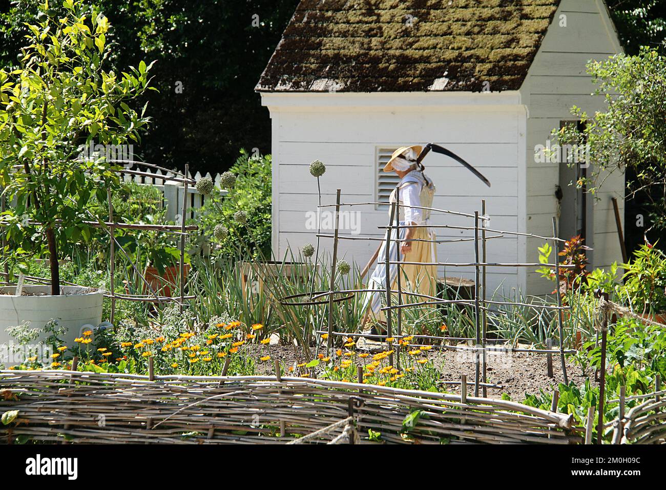 Garden in Colonial Williamsburg, Virginia, USA Stock Photo - Alamy
