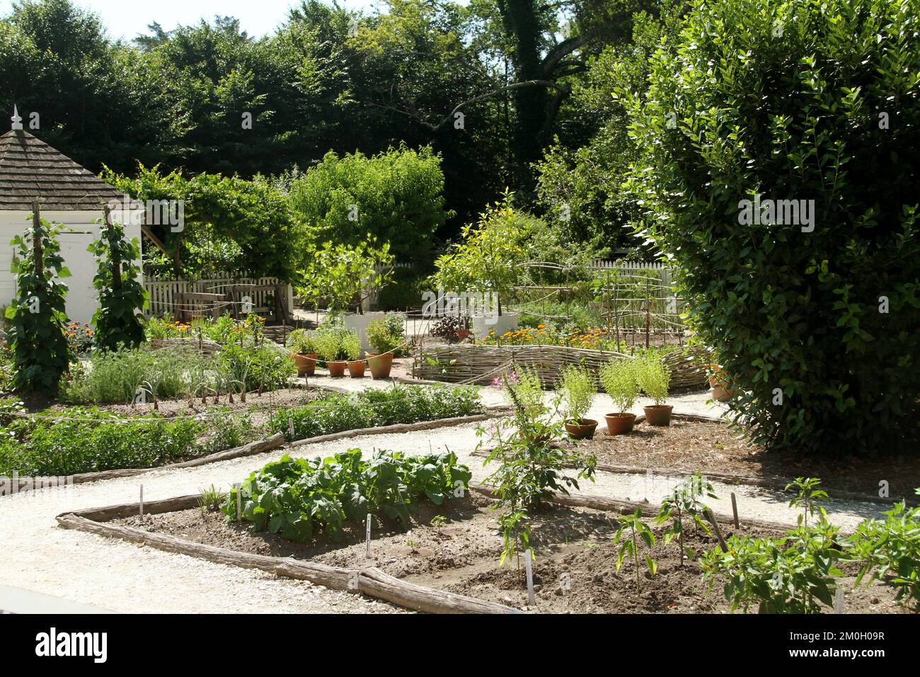 Garden in Colonial Williamsburg, Virginia, USA Stock Photo - Alamy
