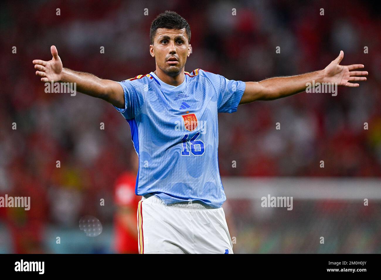 AL RAYYAN, QATAR - DECEMBER 6: Rodri of Spain reacts during the Round ...