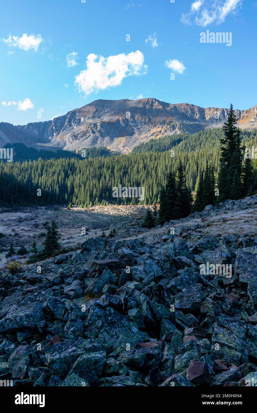 Photograph of Williams Lake area in the Carson National Forest, near ...