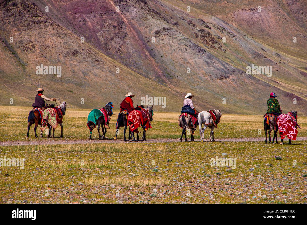 Horserider carawan in mountainous landscape along the road from Ali to ...