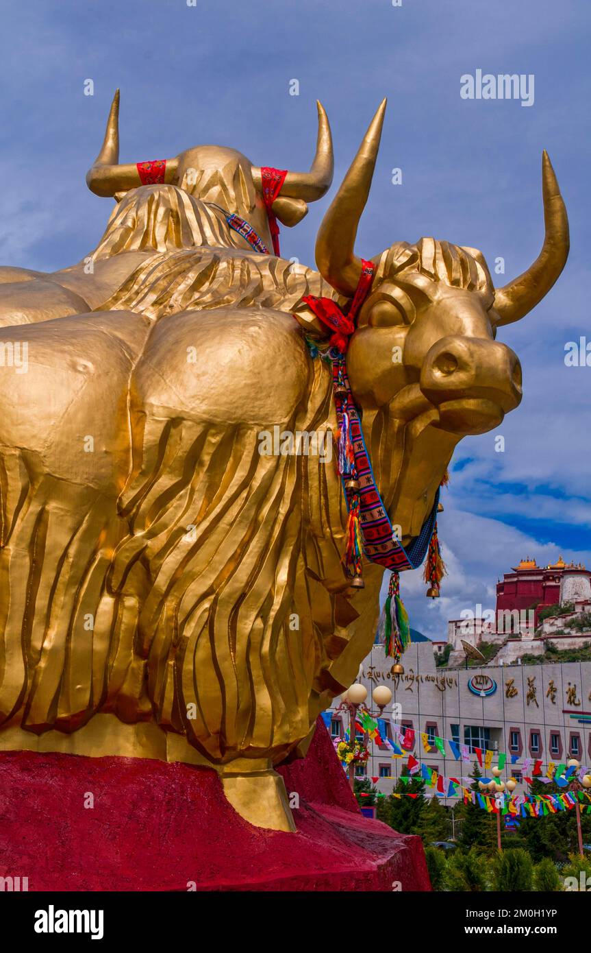 Golden bulls in the center of Lhasa, Tibet, Asia Stock Photo - Alamy
