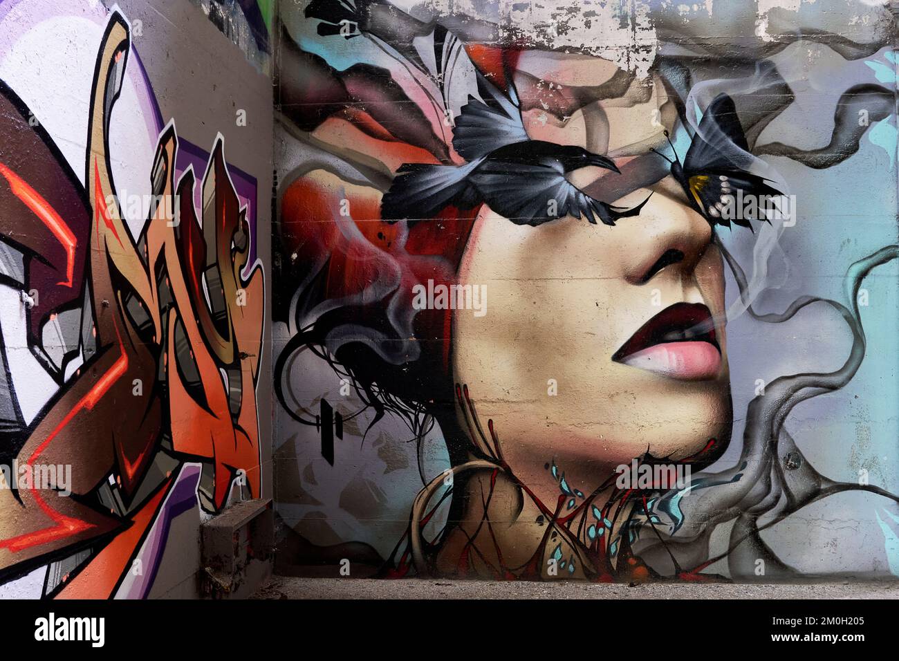 A stunning artistic, graffiti mural of a woman's face with crows for ...