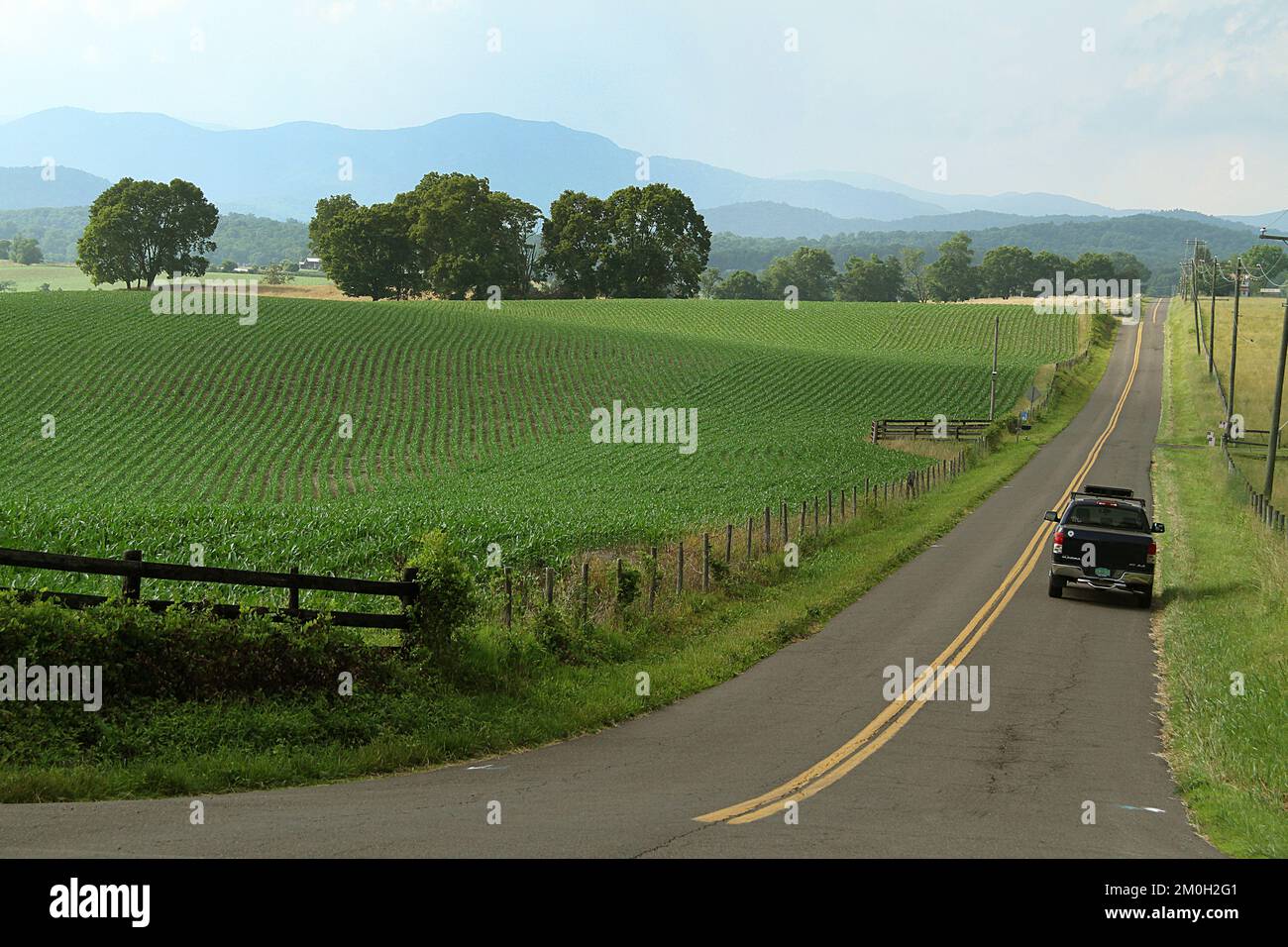 Corn field road hi-res stock photography and images - Alamy