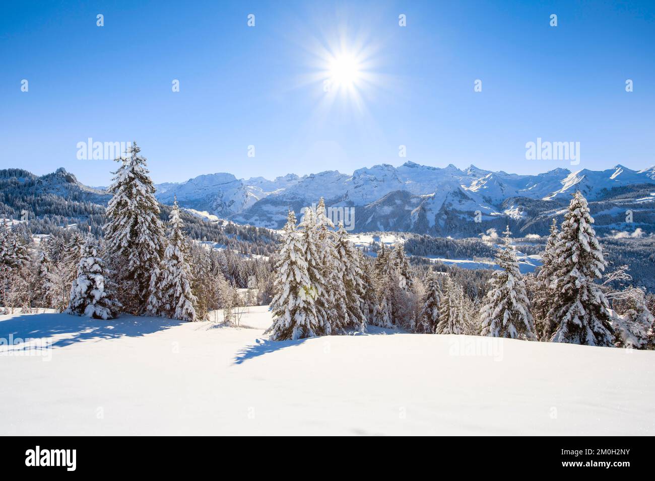 Central swiss alps switzerland hi-res stock photography and images - Alamy