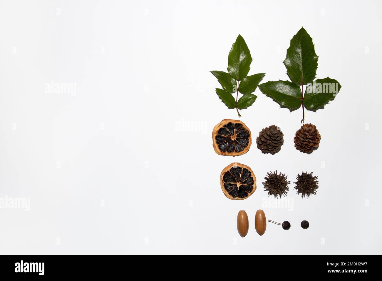 Natural layout hi-res stock photography and images - Alamy