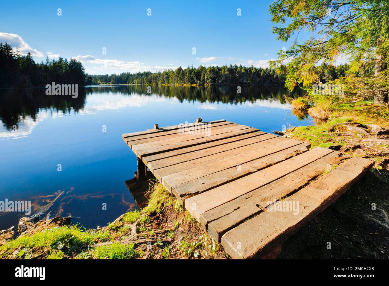 Bathing jetty on the lakeshore of the Étang de la Gruère mire lake in ...