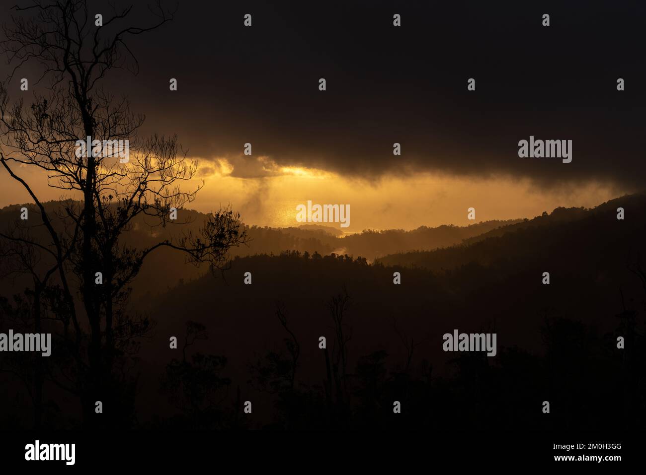 Paparoa Track sunset after the rain stopped Stock Photo - Alamy