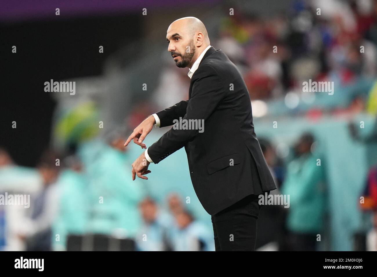 Morocco head coach Walid Regragui Stock Photo - Alamy