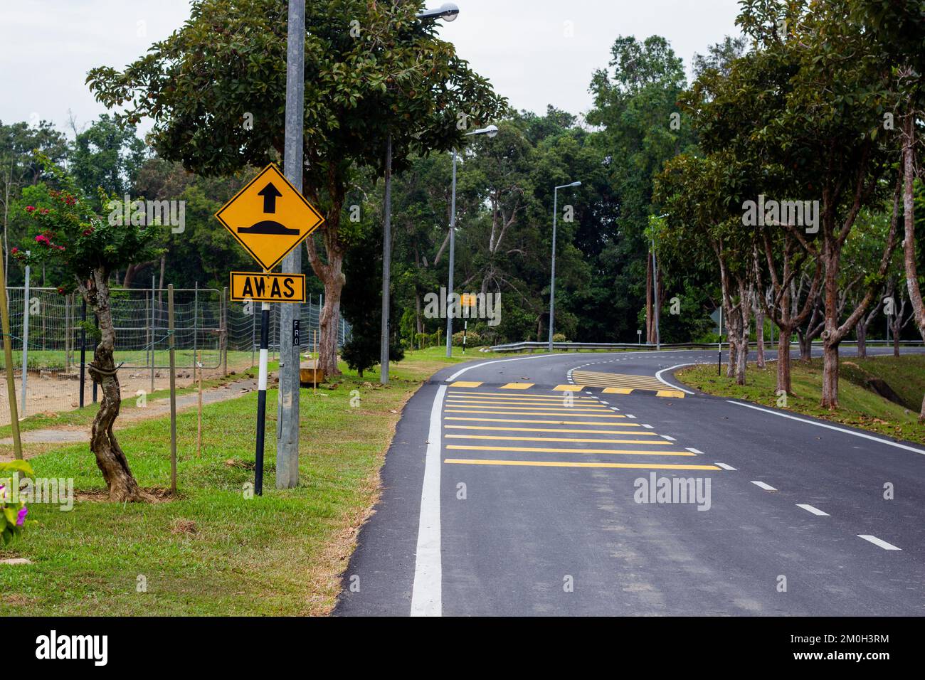 The road curve with street signs "go slow" reflex light trees around ...