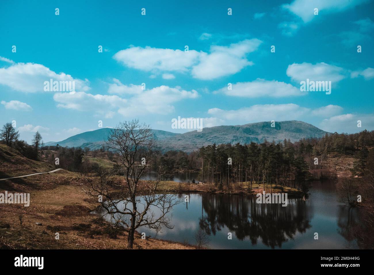 The Tarn Hows lake autumn view water reflecting trees cloudy sky ...