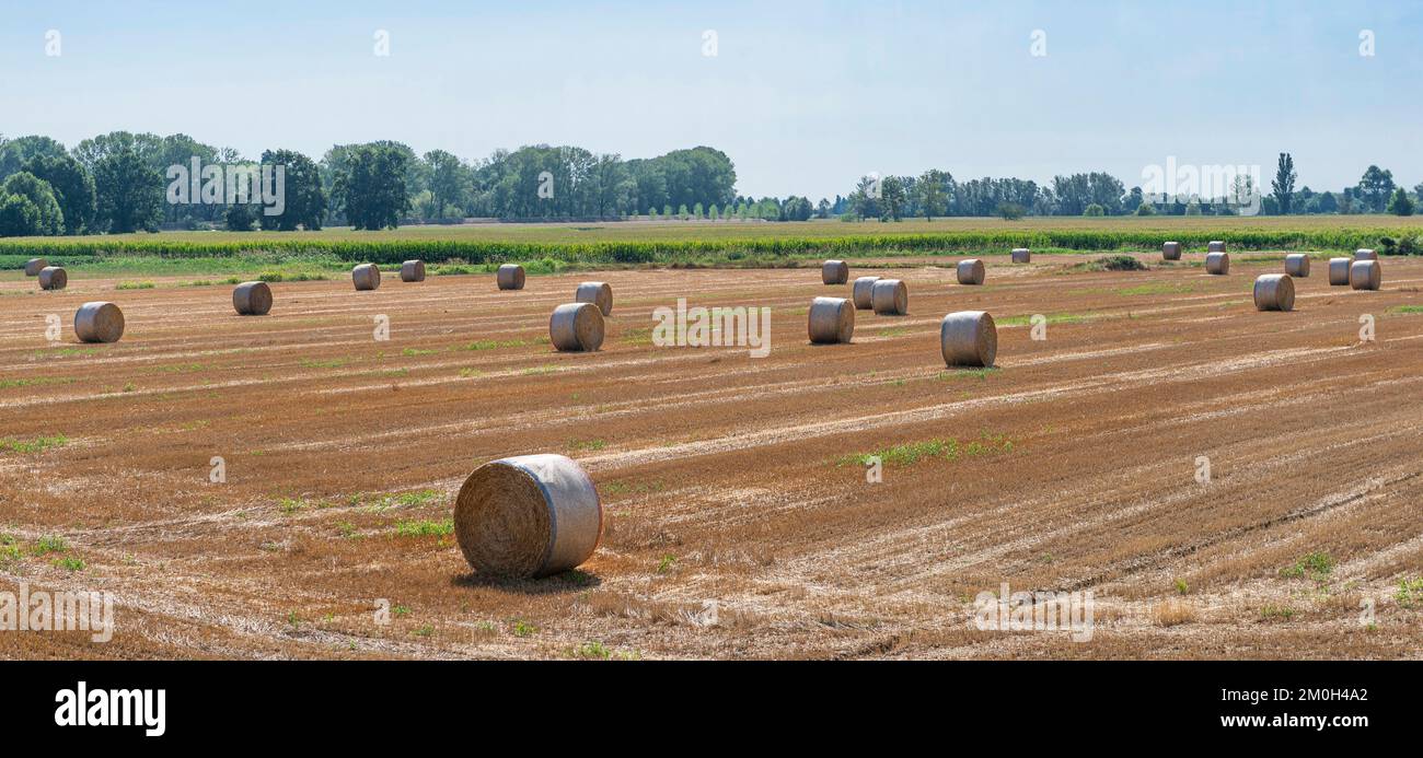 Padana plain hi-res stock photography and images - Alamy