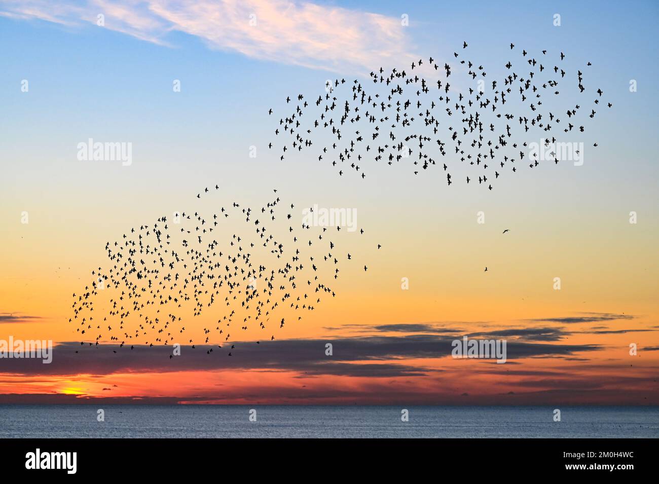 Britain england english uk british sussex 2022 brighton winter hi-res ...