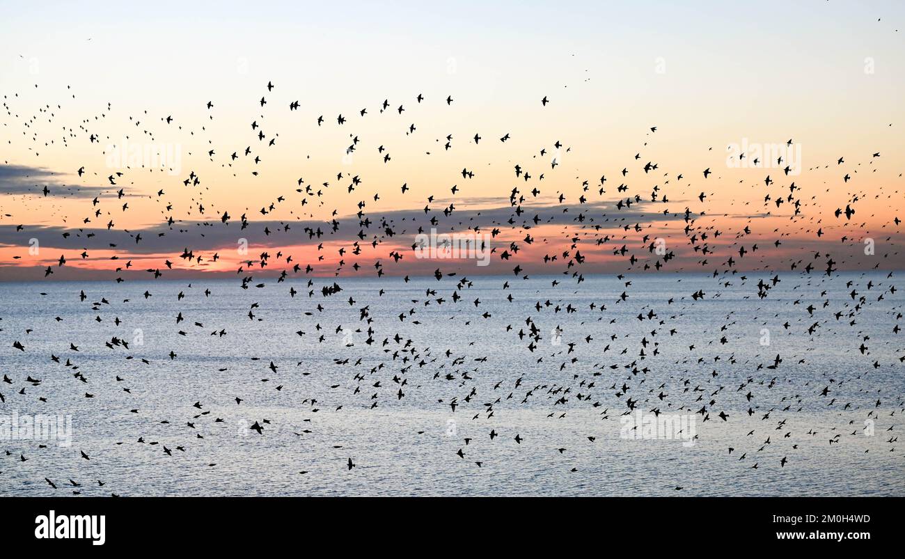 Britain england english uk british sussex 2022 brighton winter hi-res ...