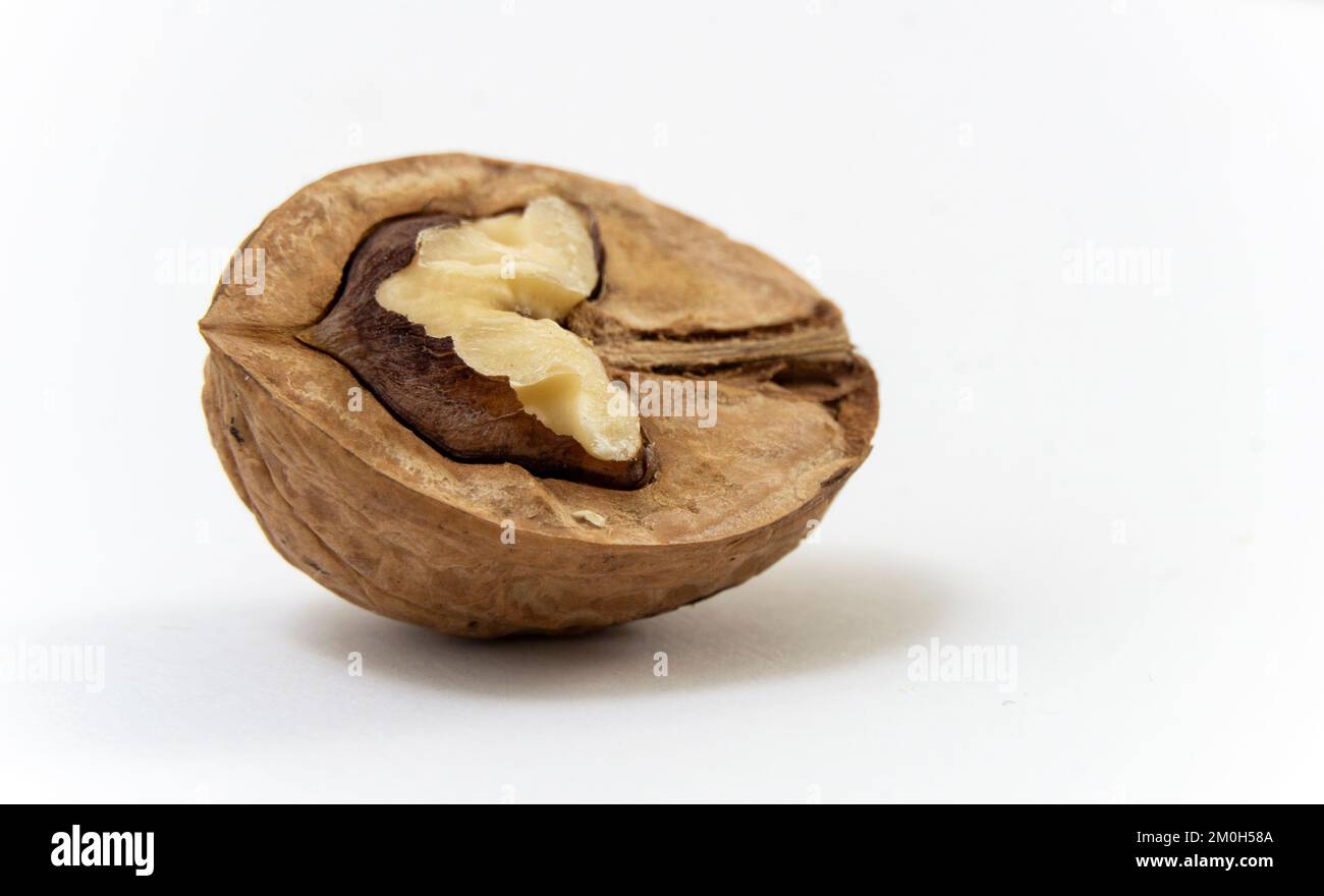 Half of walnut, isolated on white background,close up Stock Photo - Alamy