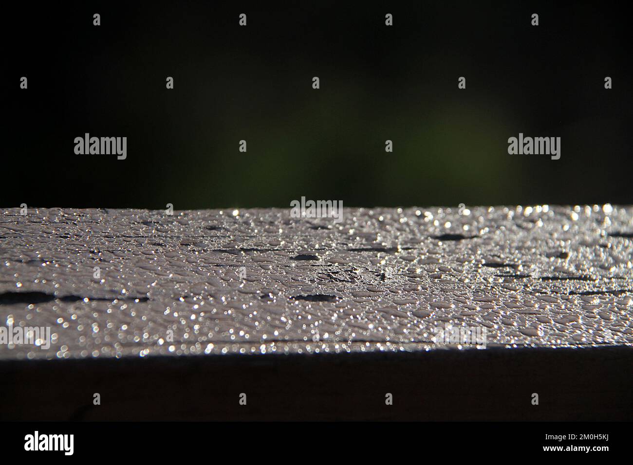 Close up heavy rain drops hi-res stock photography and images - Alamy