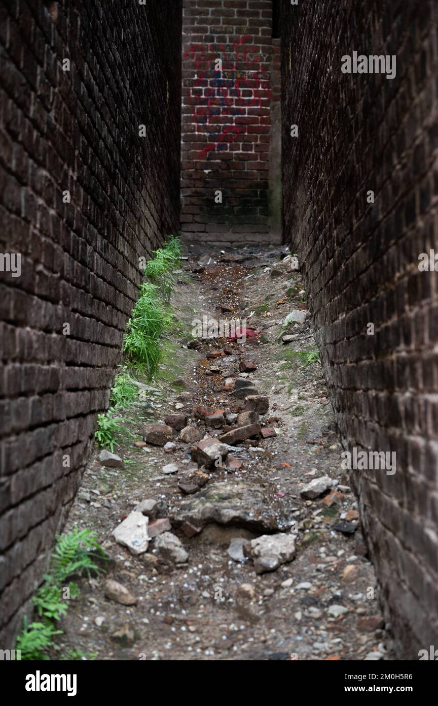 A vertical shot of a narrow alley between the brick buildings Stock ...